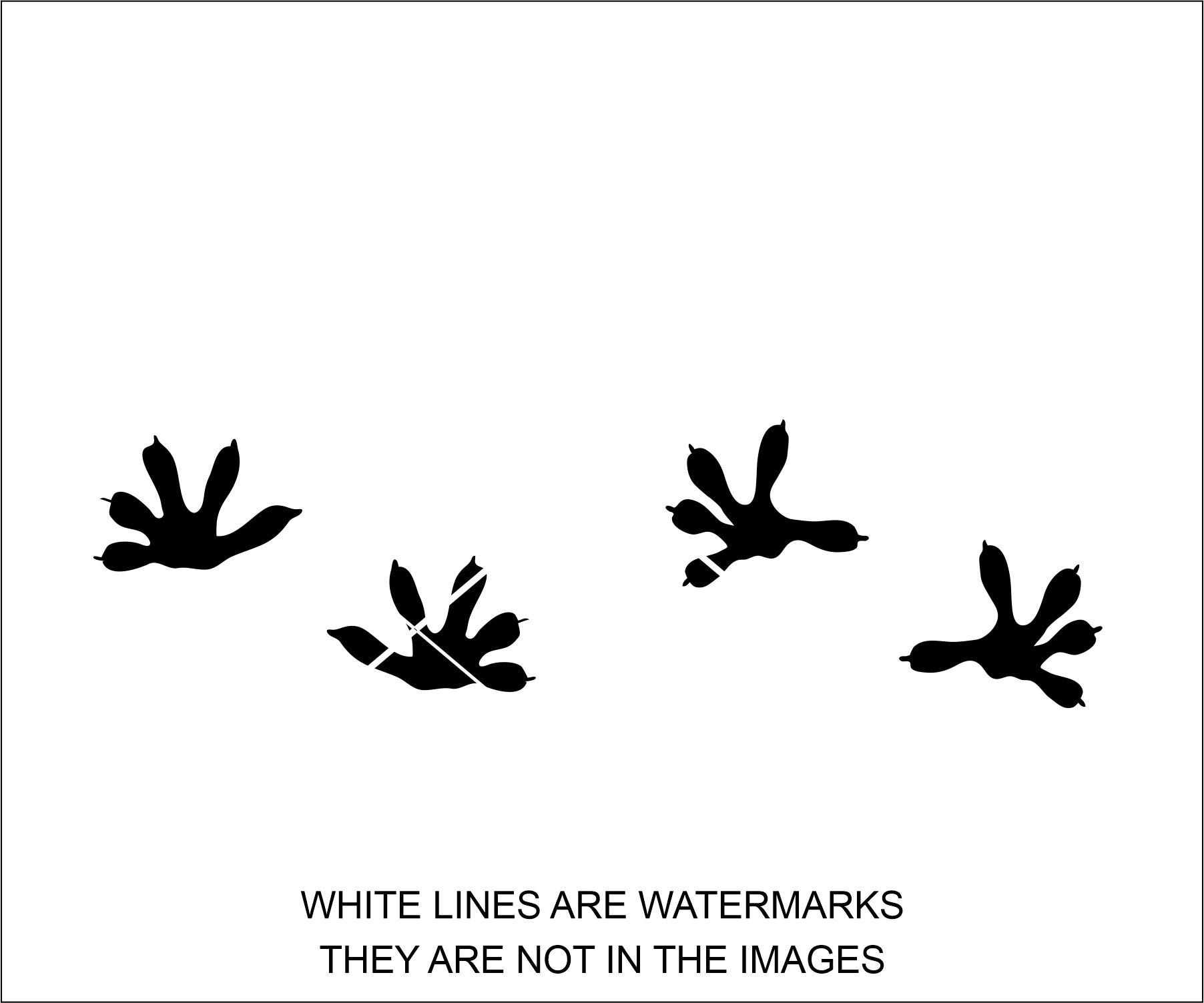 Lizard Footprint Clipart Images