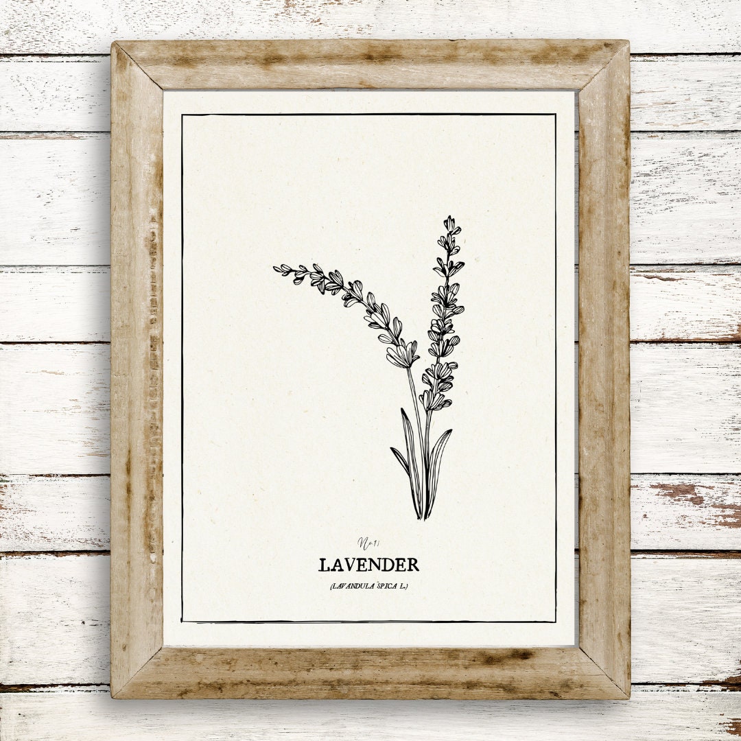 Vintage Lavender Botanical Print Digital Download Wall Art Decor - Etsy