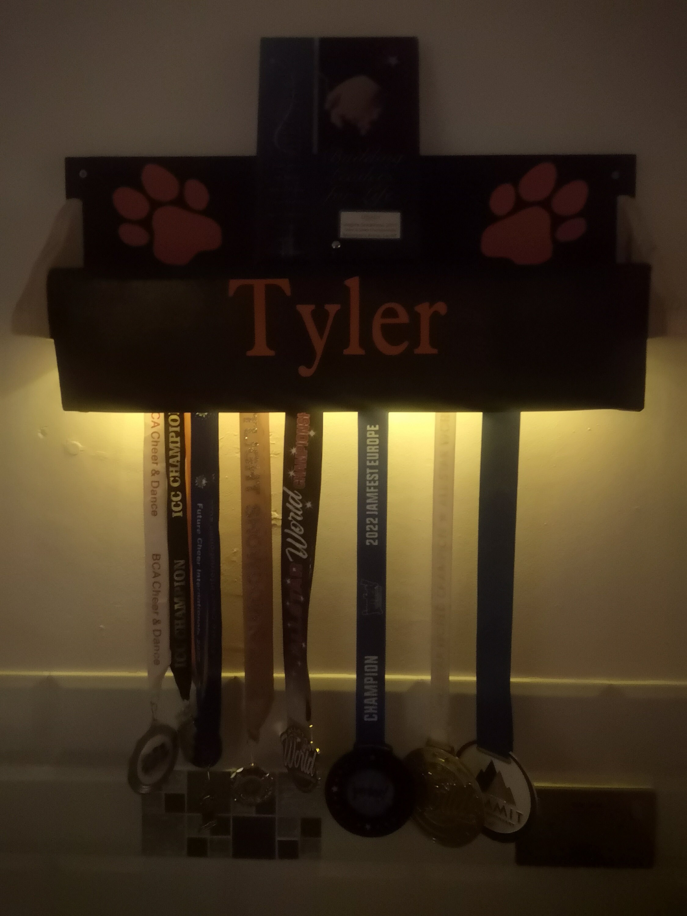 Medal Trophy Shelf/stand - Etsy