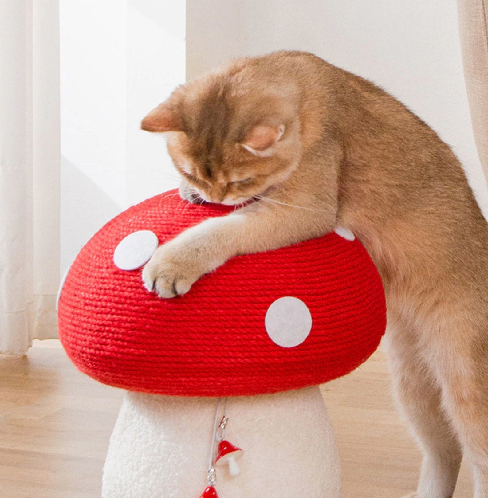 Mushroom Cat Scratching Post Small Cat Tree Cat Climbing | Etsy