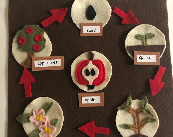 Montessori Lifecycle Apple Tree - Etsy