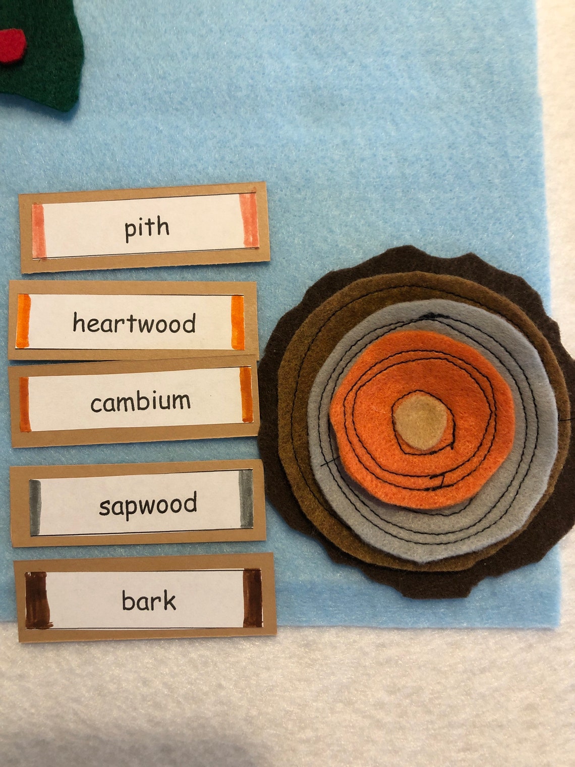 Montessori Deciduous Tree Anatomy - Etsy