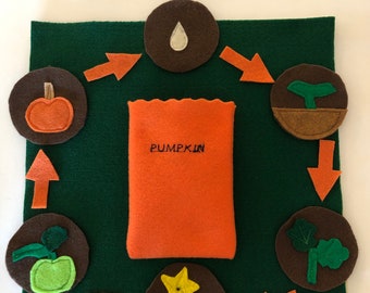Parts of a Pumpkin Felt Puzzle, Squash Fruit Life Cycle, Montessori ...