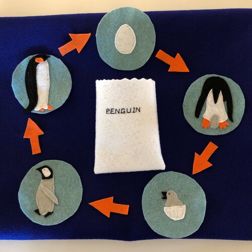 Penguin Mini Unit Penguin Lifecycle Penguin Anatomy Winter - Etsy