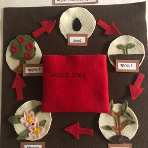 Montessori Lifecycle Apple Tree - Etsy