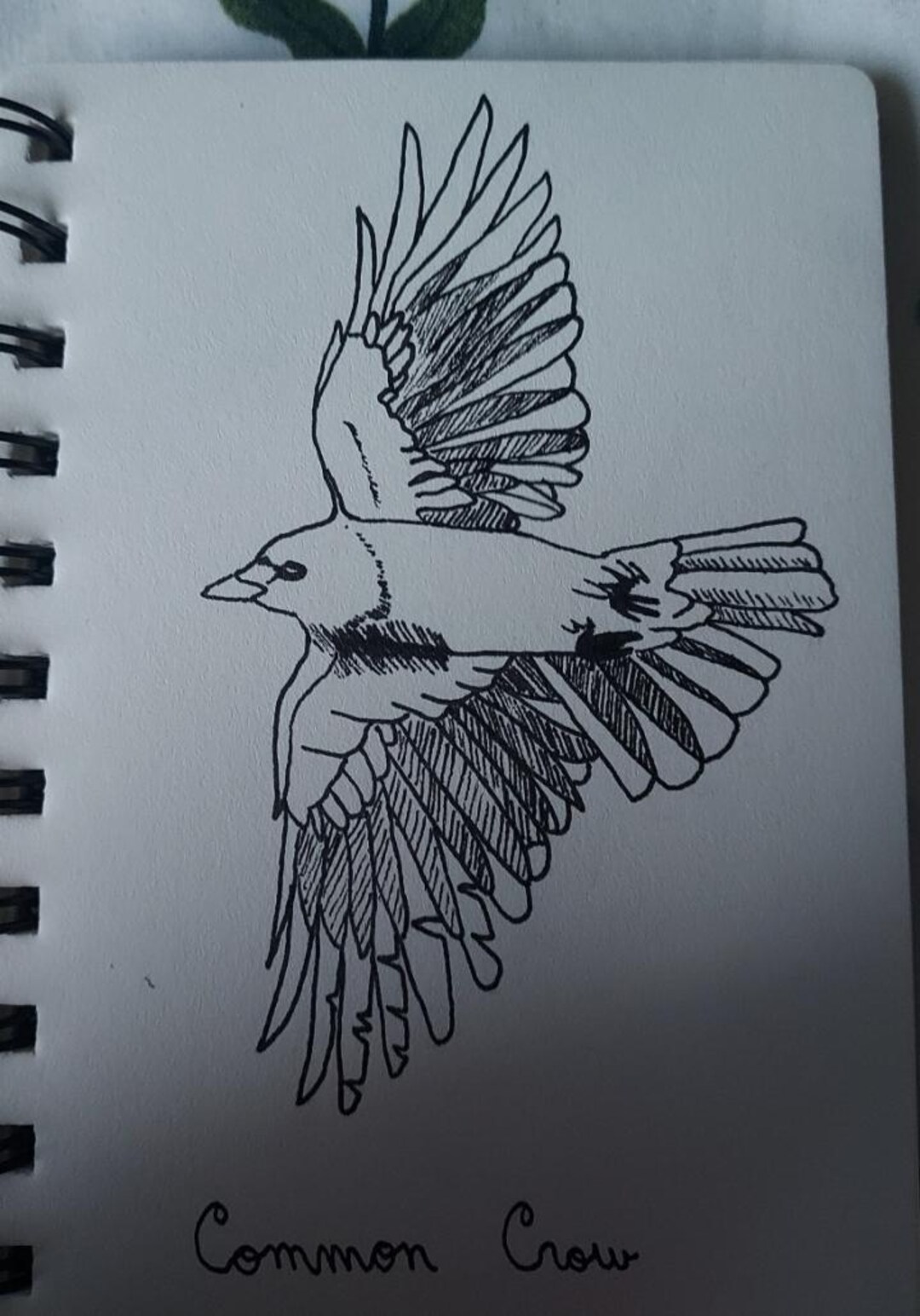 Common Crow Pen and Ink Print | Hand Drawn Artwork - Etsy