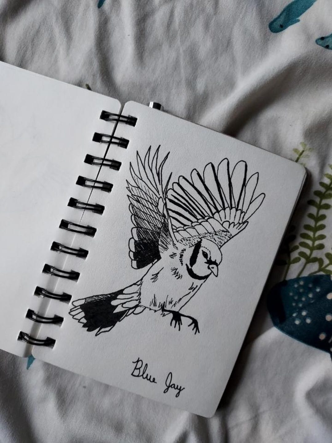 Blue Jay Pen and Ink Print | Hand Drawn Artwork - Etsy