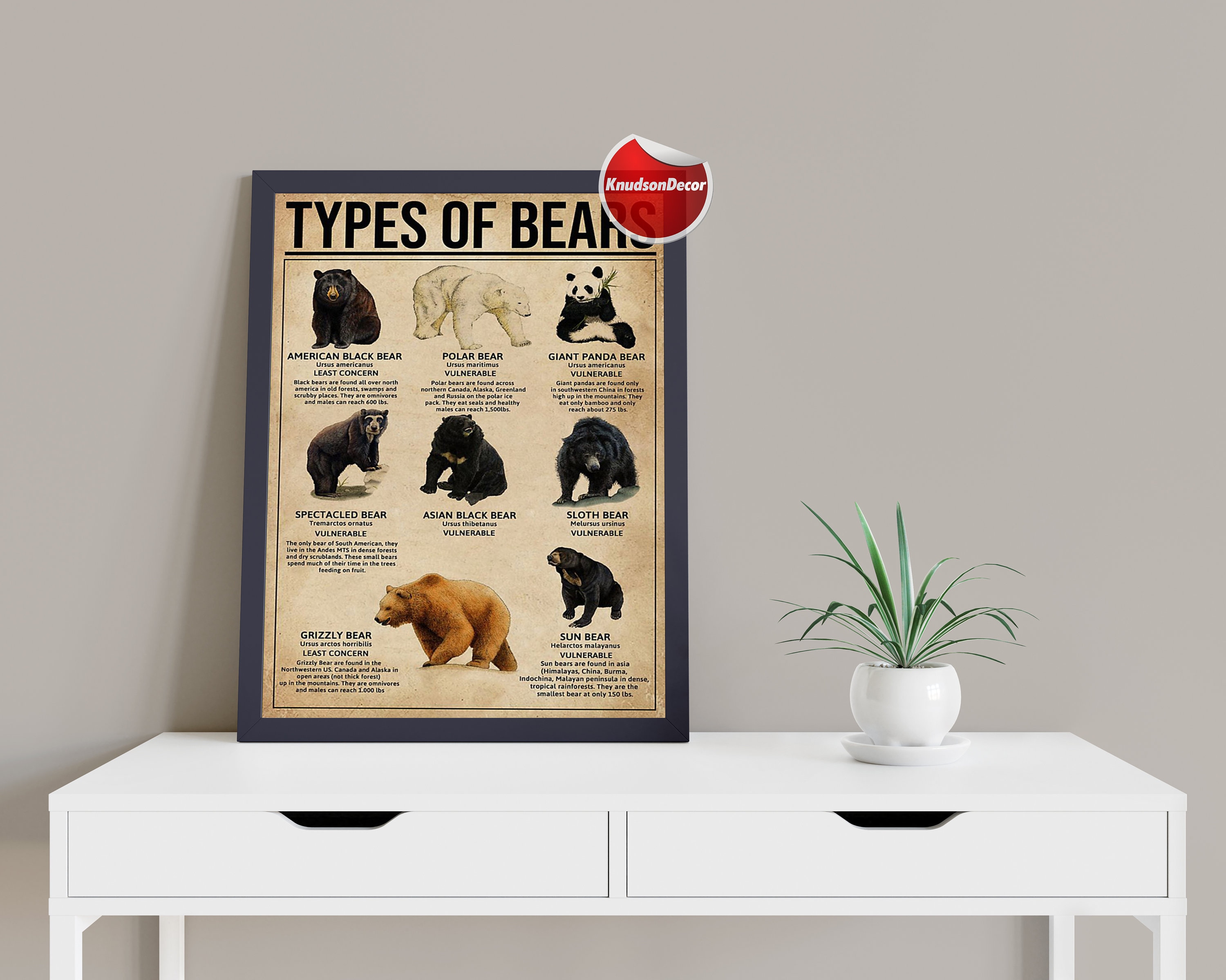 Types of Bears Poster Knowledge Bears Print Bears Art - Etsy