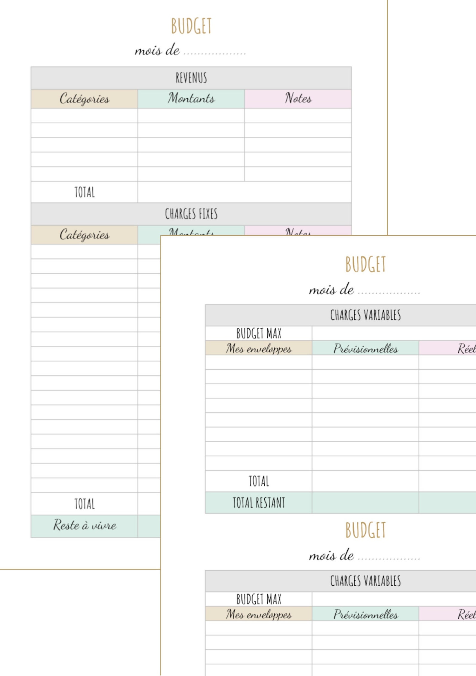 Tableau De Budget Mensuel à Imprimer | Etsy Singapore
