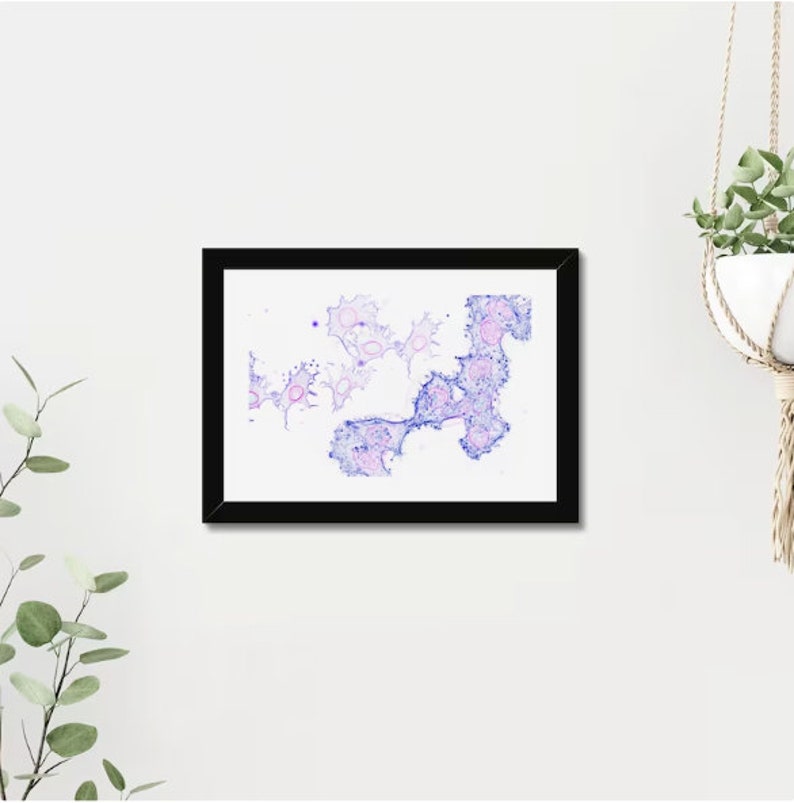 Cells Art Print - Microscopy Image - Biology Science – Abstract ...