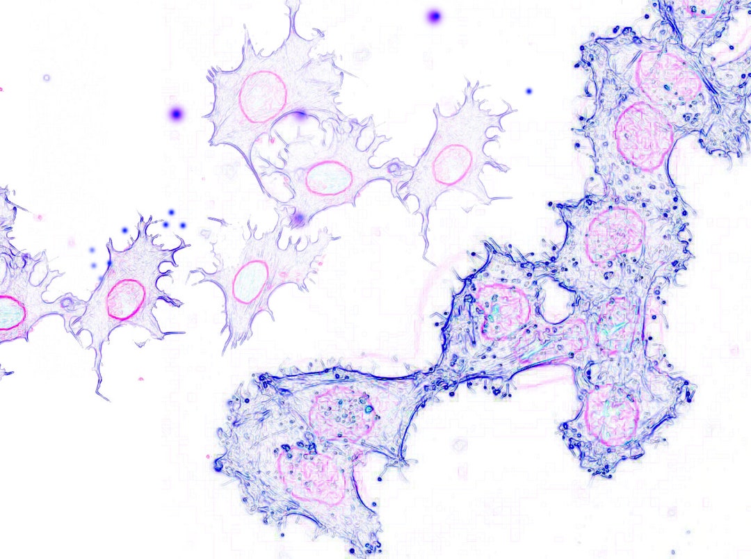 Cells Art Print - Microscopy Image - Biology Science – Abstract ...