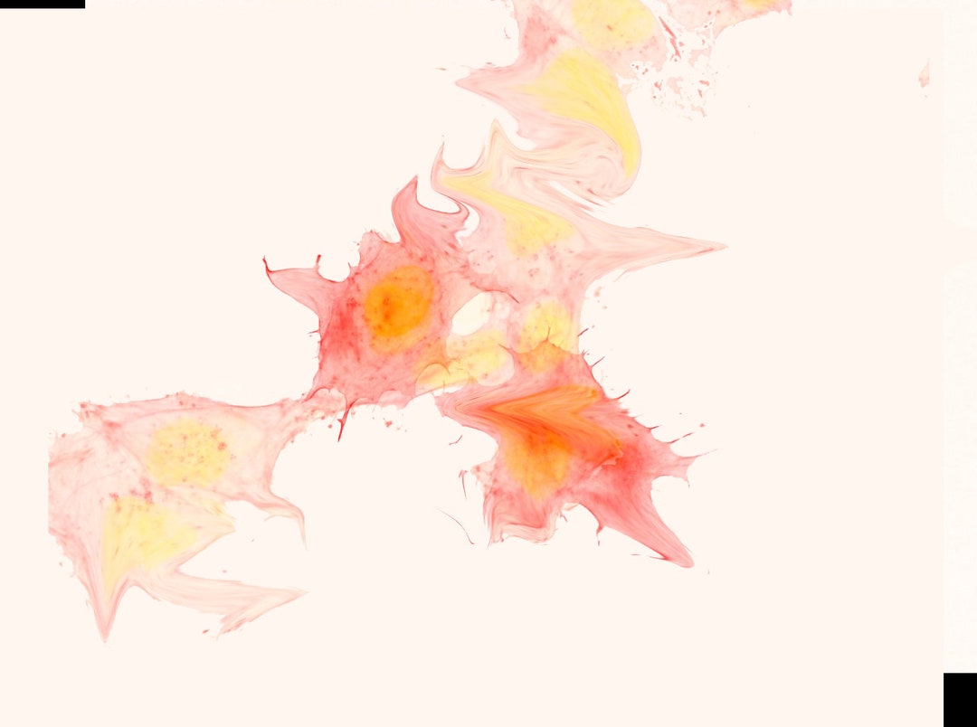 Cells Art Print - Microscopy Image - Biology Science – Abstract ...