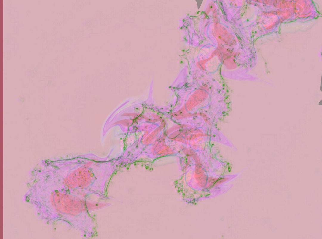 Cells Art Print - Microscopy Image - Biology Science – Celldomseen ...