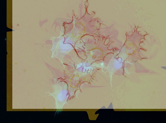 Cells Art Print Microscopy Image Biology Science | Etsy