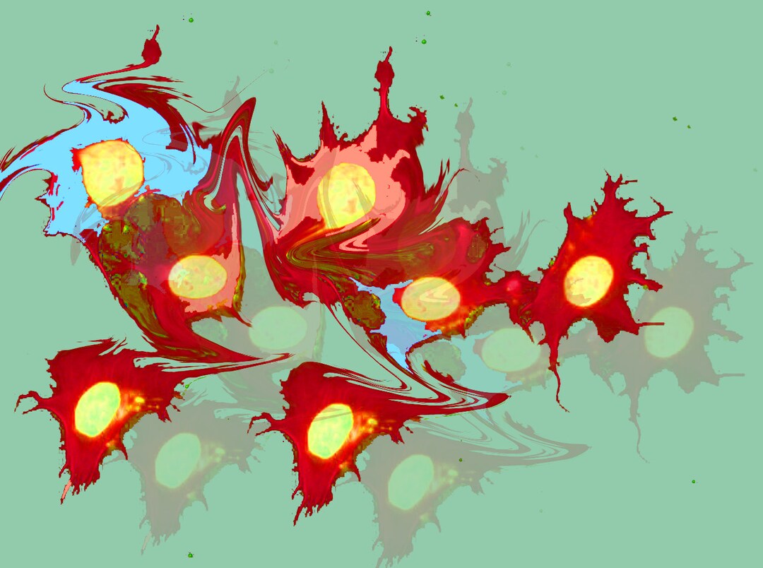 Cells Art Print Microscopy Image Biology Science Celldomseen Celldom ...