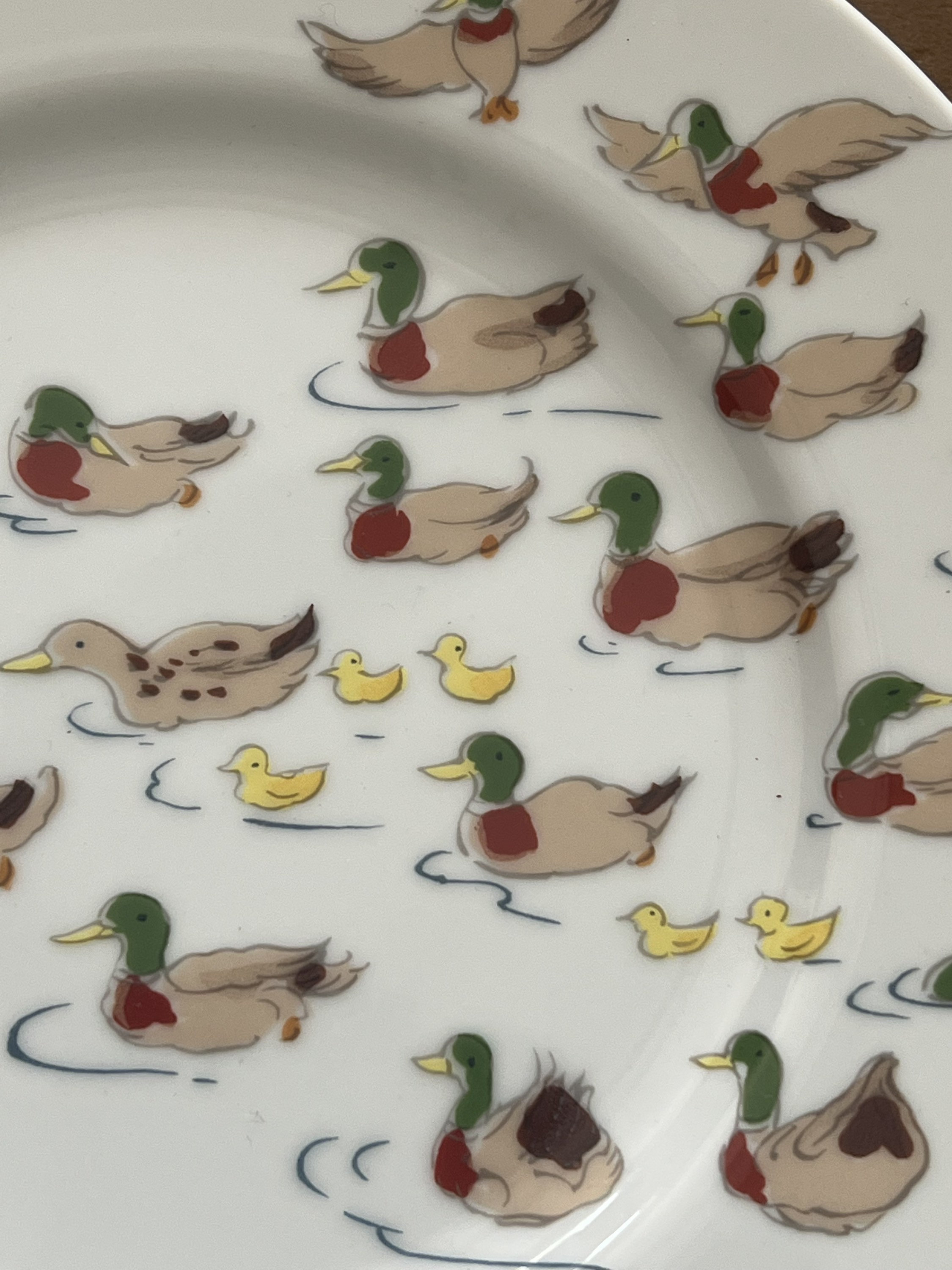 Extremely Rare and Adorable and Playful Parade of Ducks and Ducklings ...