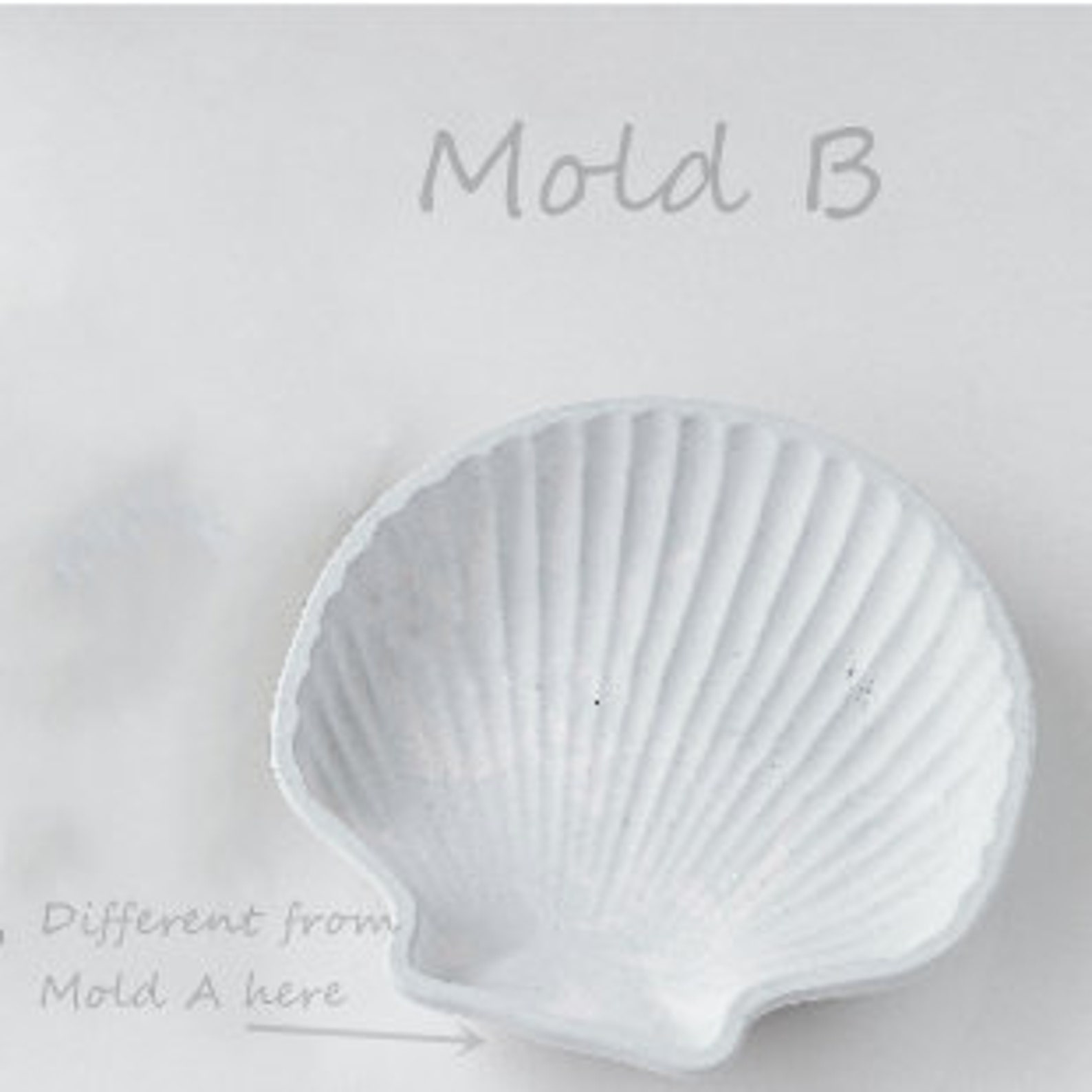 Clam Shell Tray Moldtrinket Dish Plaster Cement Concrete | Etsy