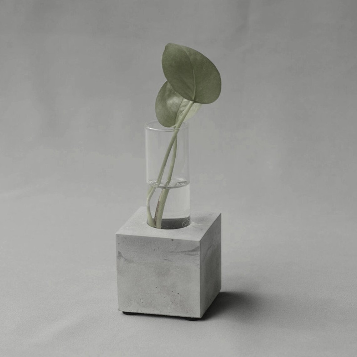 Plant Propagation Tube Planter Holder Silicon Mouldflower Pot - Etsy
