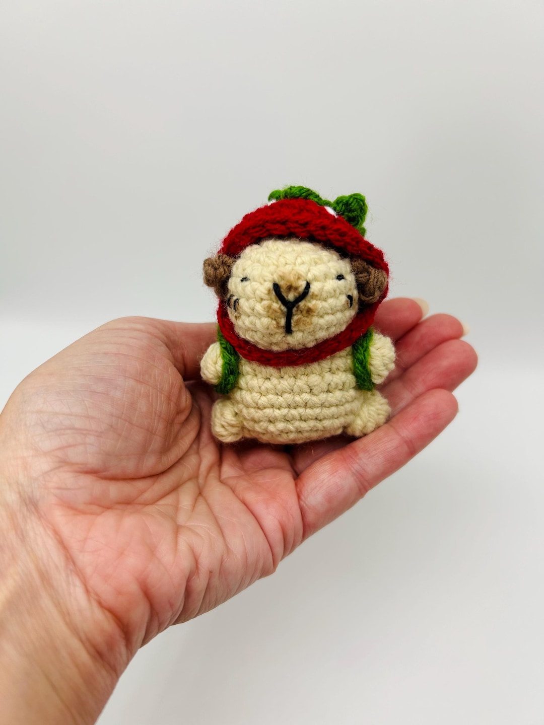 Capybara Goes to School Stuffed Capybara Plushie Gift - Etsy