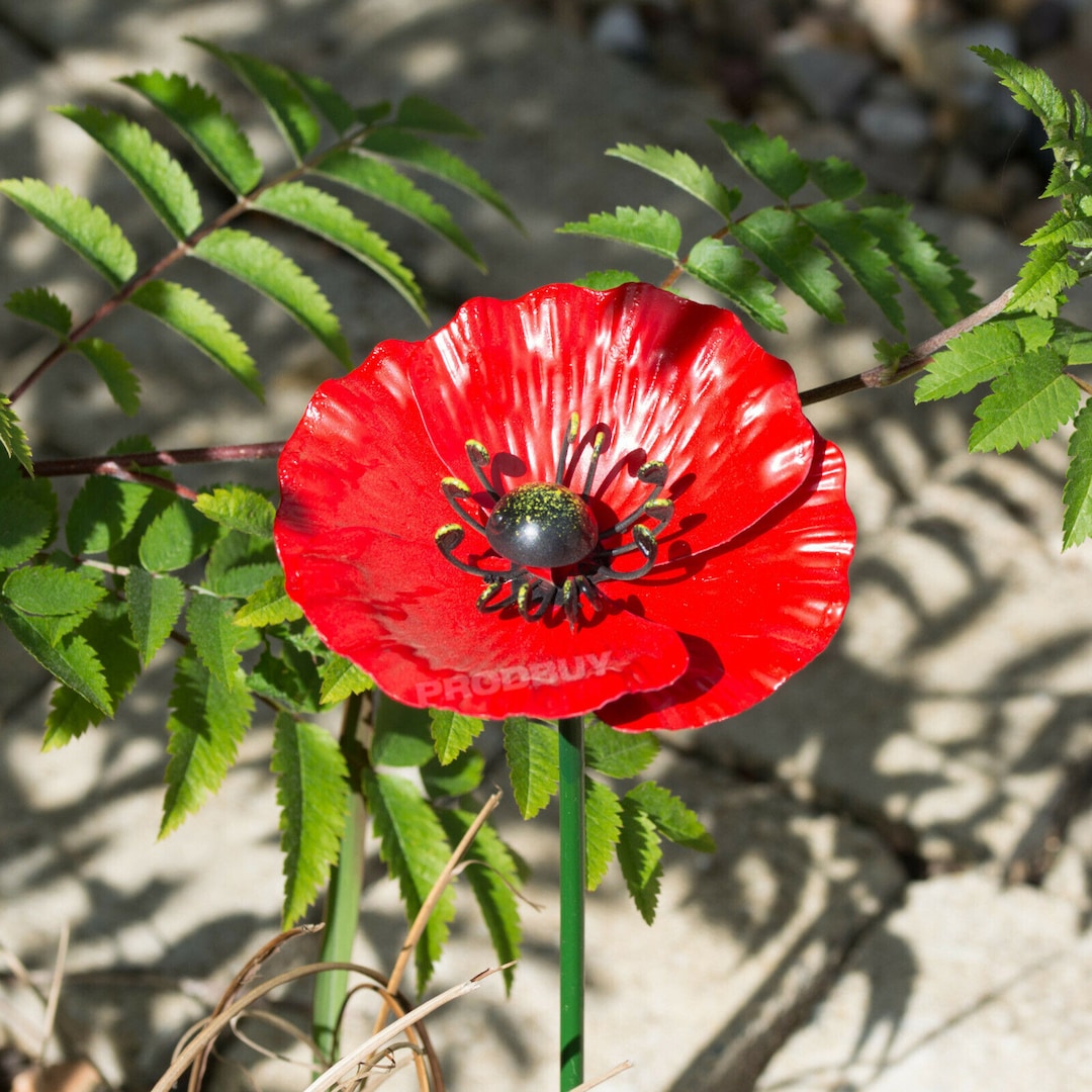 Red Metal Poppy Flower 44cm Tall Garden Stake Ornament Outdoor Poppies ...