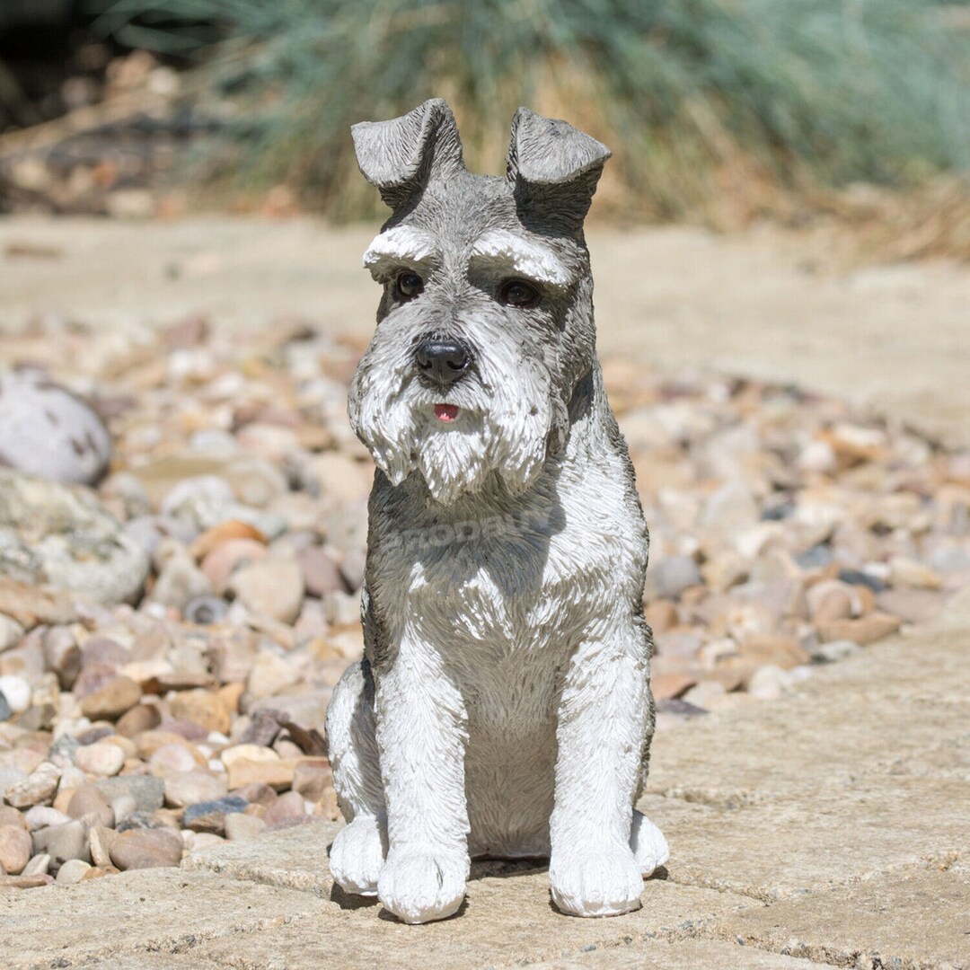 Grey Schnauzer Dog 25cm Tall Cute Resin Garden Ornament Outdoor Statue ...