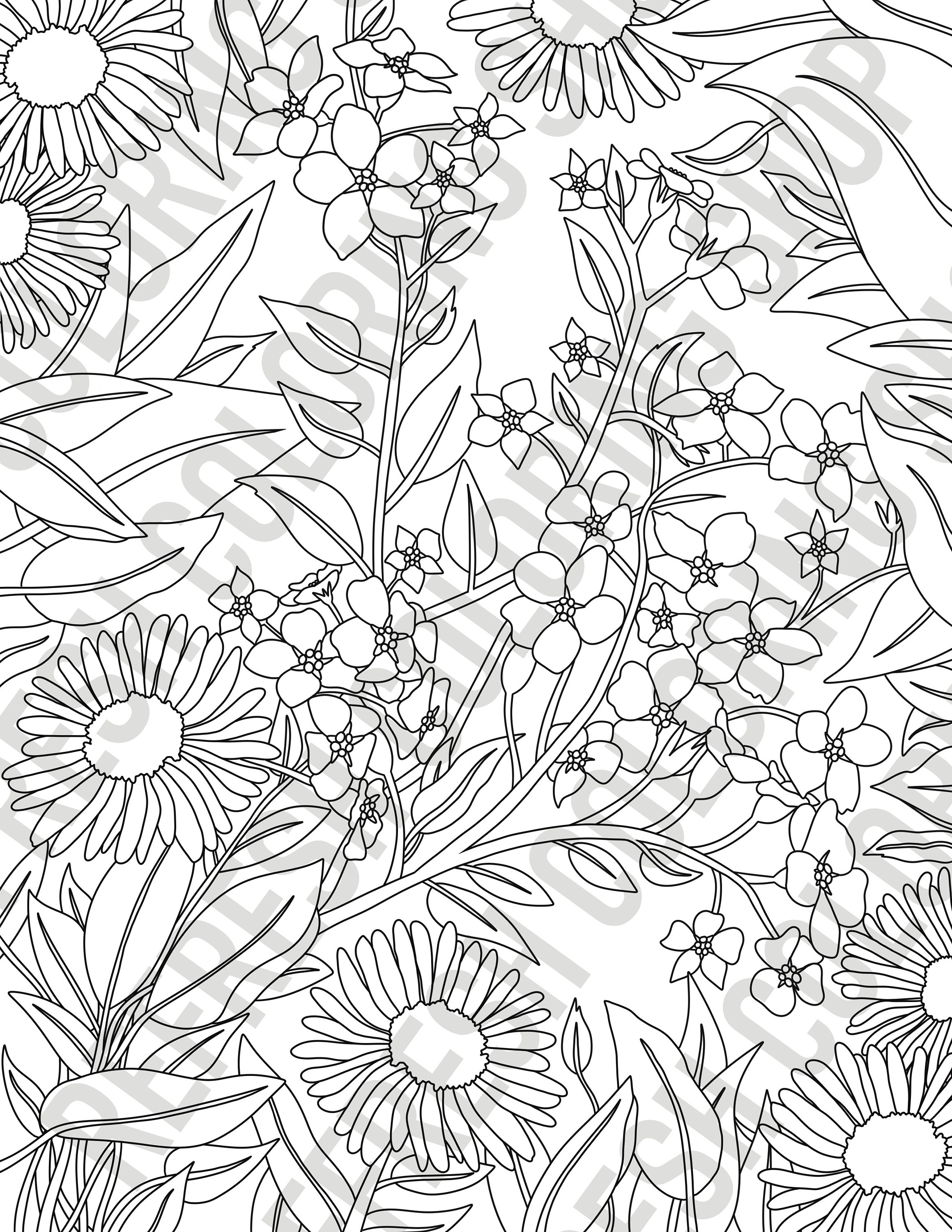 5 Printable Coloring Pages | Succulents, Floral, Nature, Leaves, Wild ...