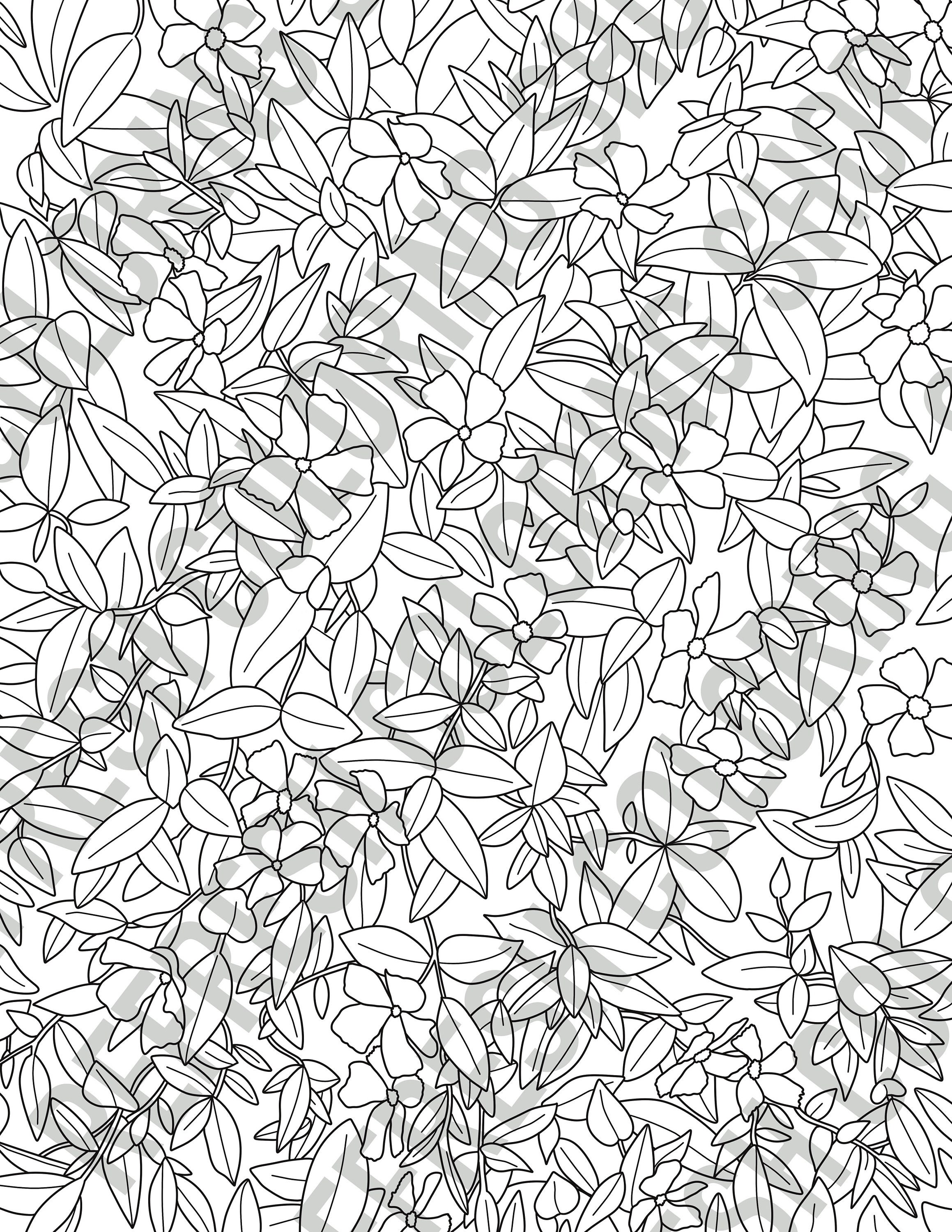 Floral Vine of Leaves Coloring Page | PDF Instant Download - Etsy