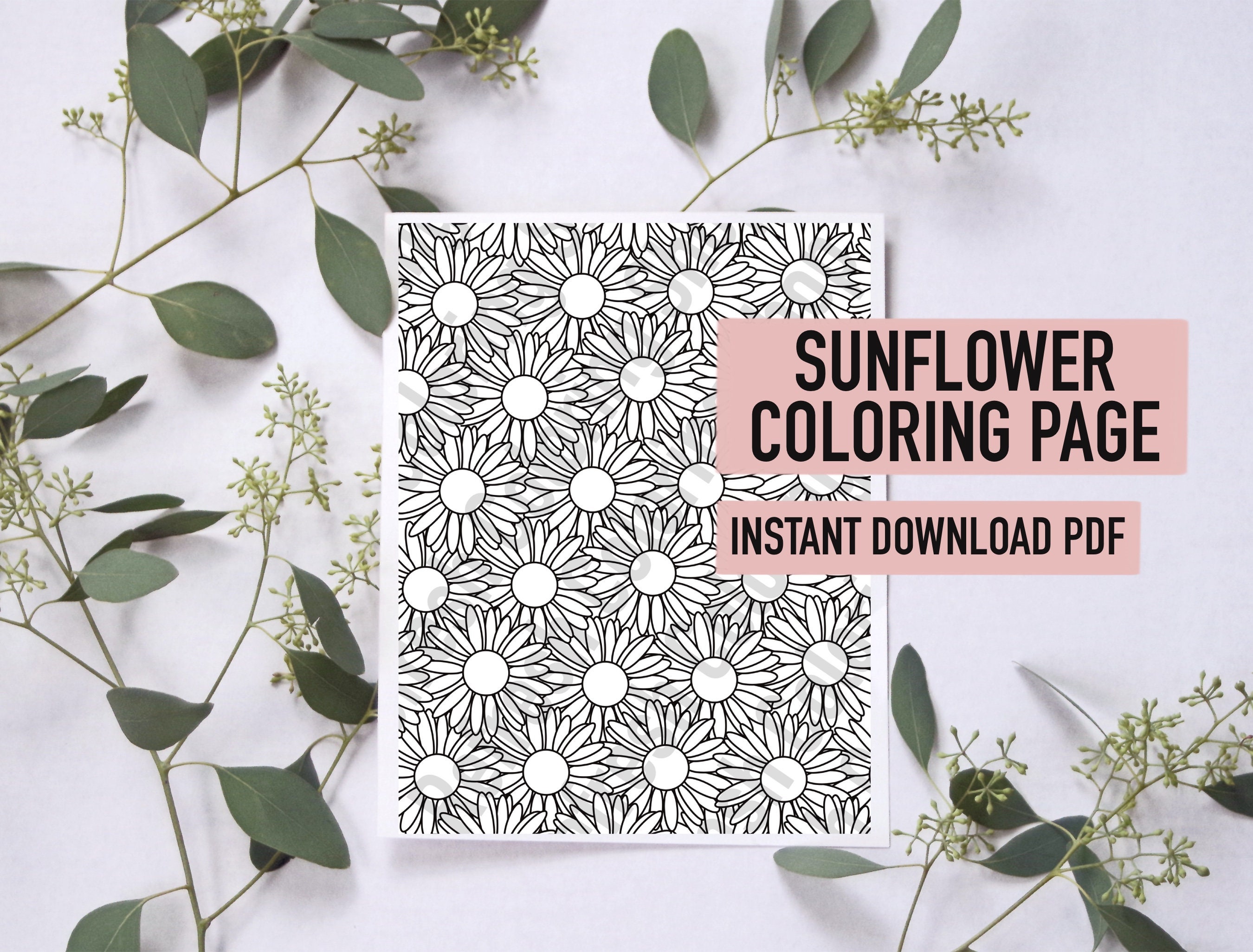 Printable Sunflower Floral Coloring Page | PDF Instant Download - Etsy