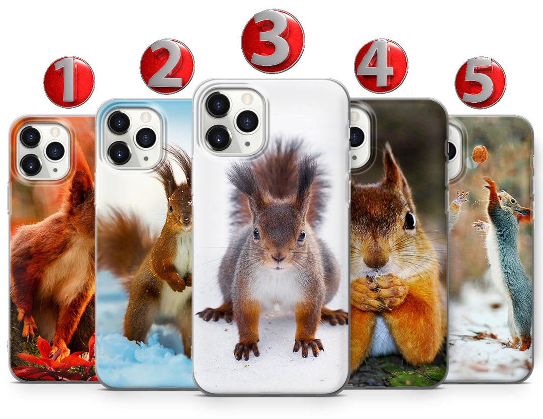 Nice Squirrel Phone Case for iPhone 15 14 13 12 11 X XS SE Samsung S24 ...