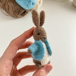 Peter Rabbit Amigurumi Pattern, Crochet Bunny Pattern, Crochet Tutorial ...