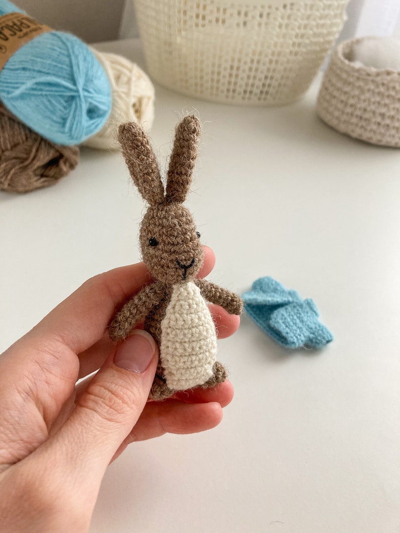 Peter Rabbit Amigurumi Pattern Crochet Bunny Pattern Crochet - Etsy