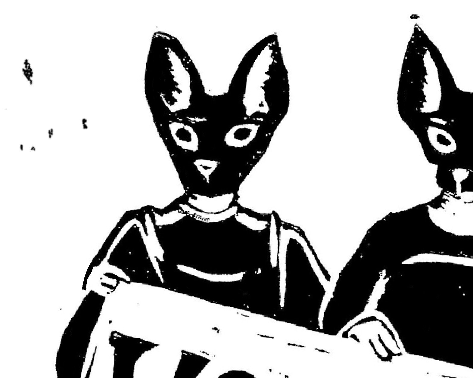 Lino Print, Suffragette - Feminist Art, Cat Art, Home Decor, Simple ...