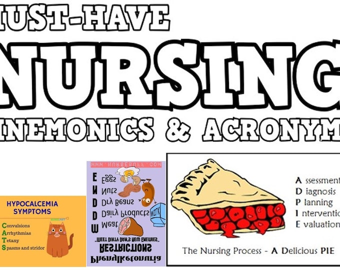 13 Pages Printable Nursing Assessment Mnemonics Nursing Memory Notebook ...