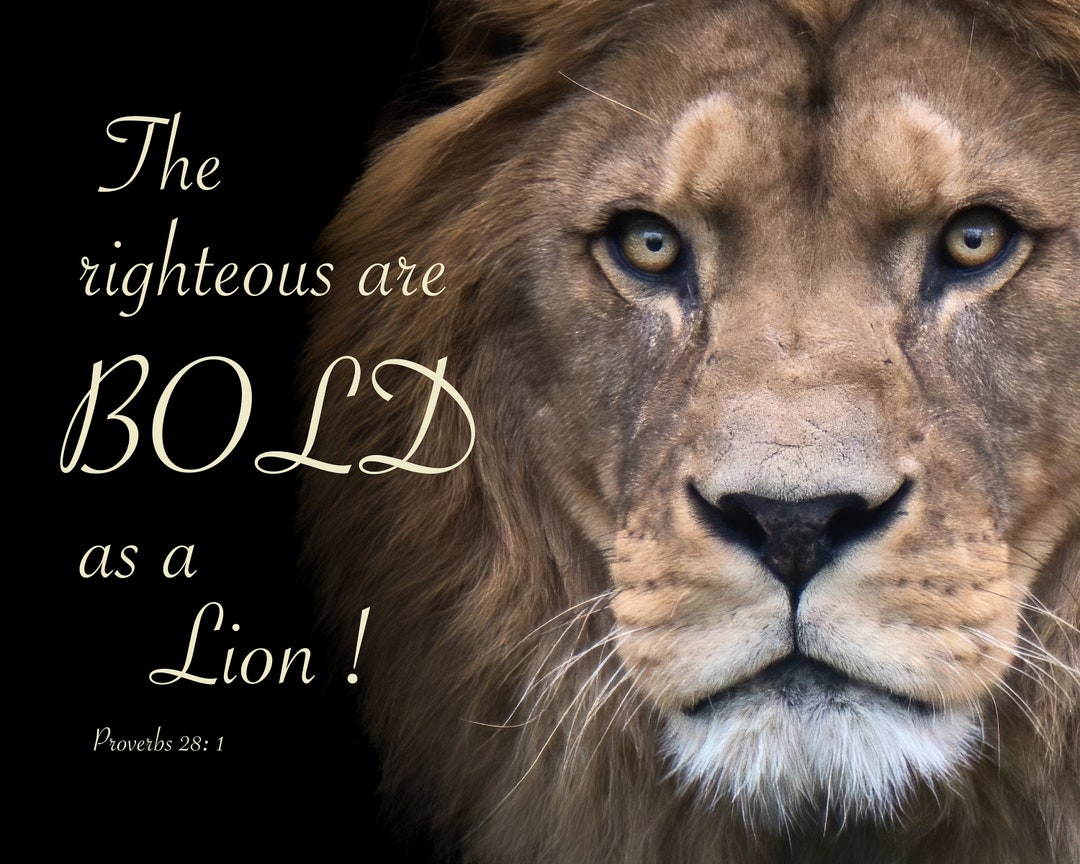 BOLD as a Lion ! - Etsy