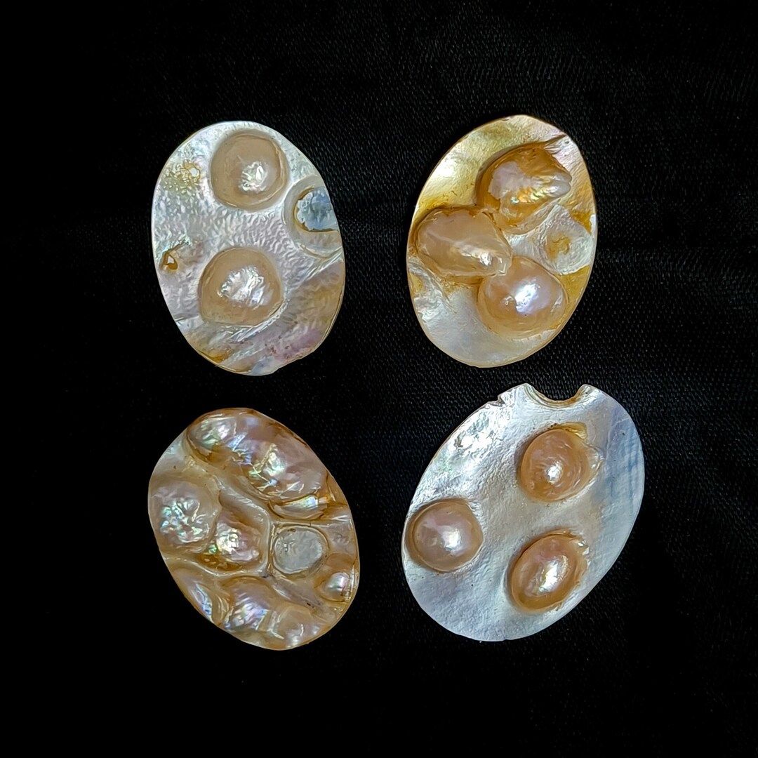 Collector's Quality Sea Water Pearls, Mother of Pearl Specimen, Ancient ...