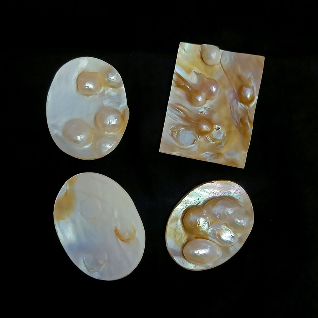 Mother of Pearl Specimen, Ancient Natural Pearl Raw Plates, Collector's ...