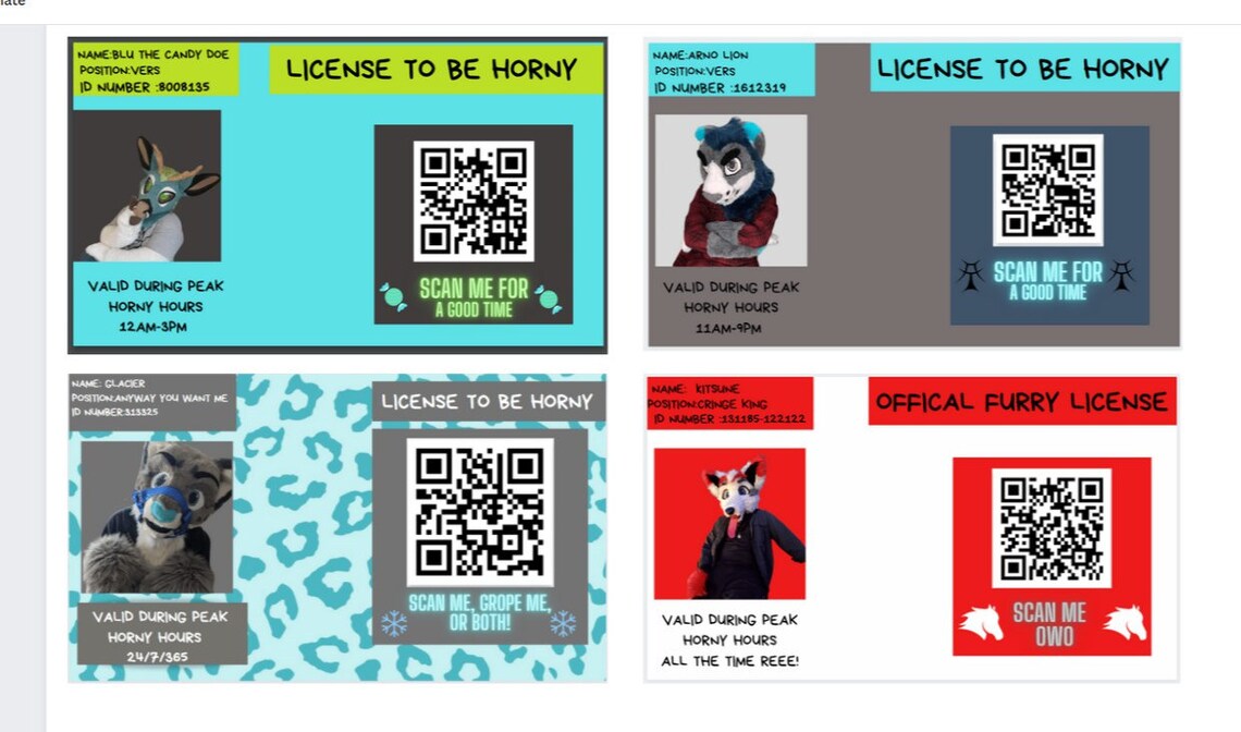 Furry License - Etsy
