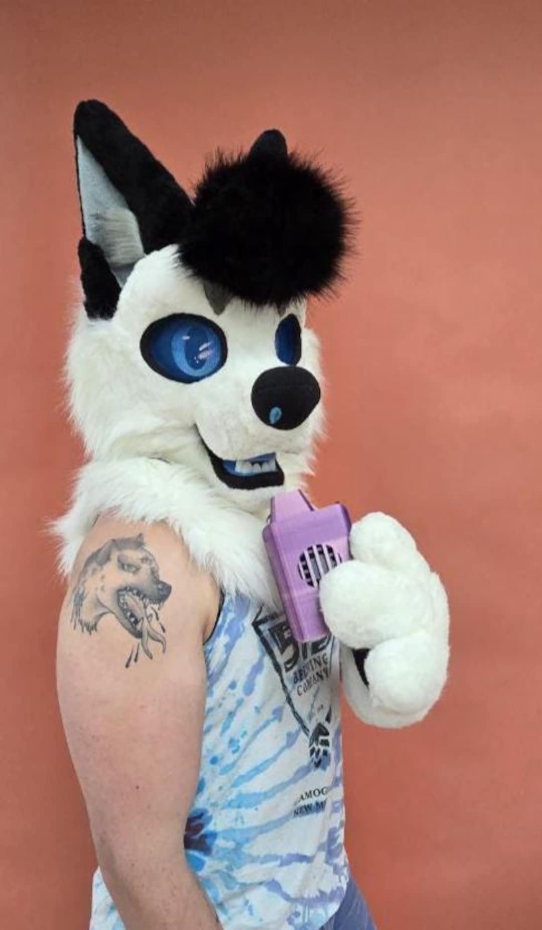Fursuit Fan: Rechargeable Handheld Fan With Cover - Etsy
