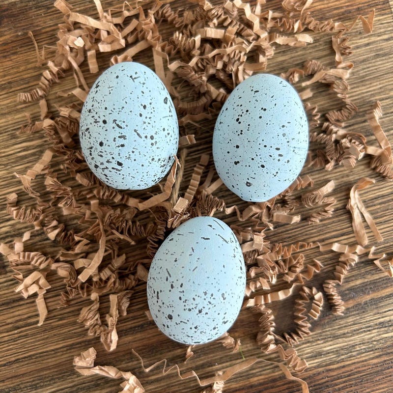 Outdoor Robin Eggs - Etsy