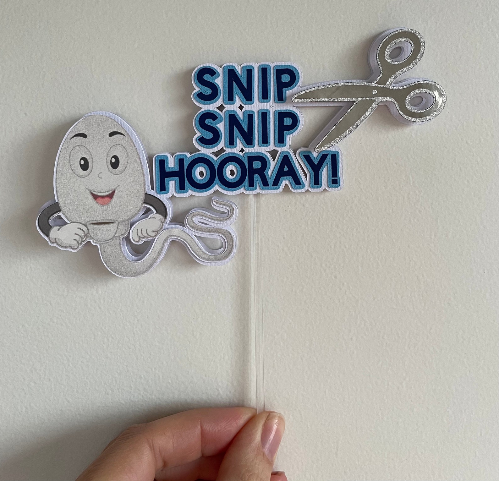 Vasectomy Cake Topper, Joke Cake, the Snip, the Snip Gift, Made to ...