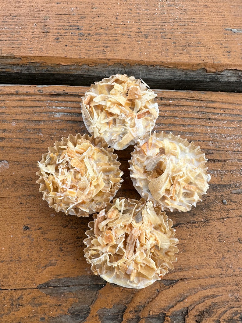 All Natural Fire Starters, Campfires, Wood Stoves, Fireplaces - Etsy