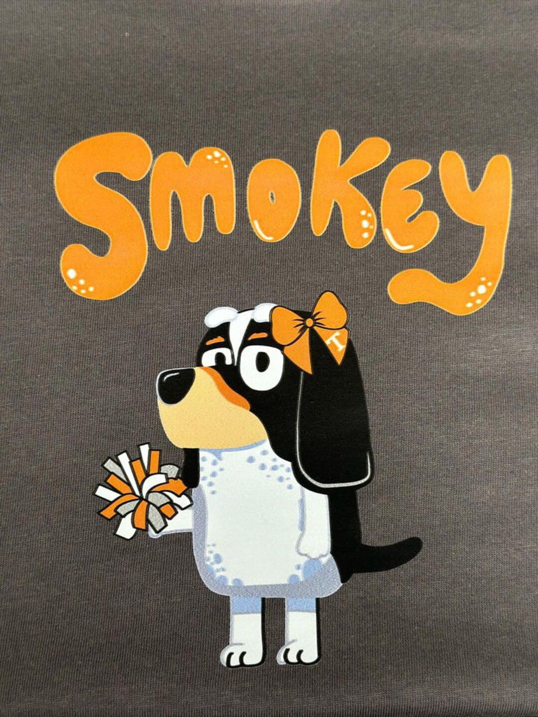 Bluey Cheer Vols Smokey T-shirt - Etsy