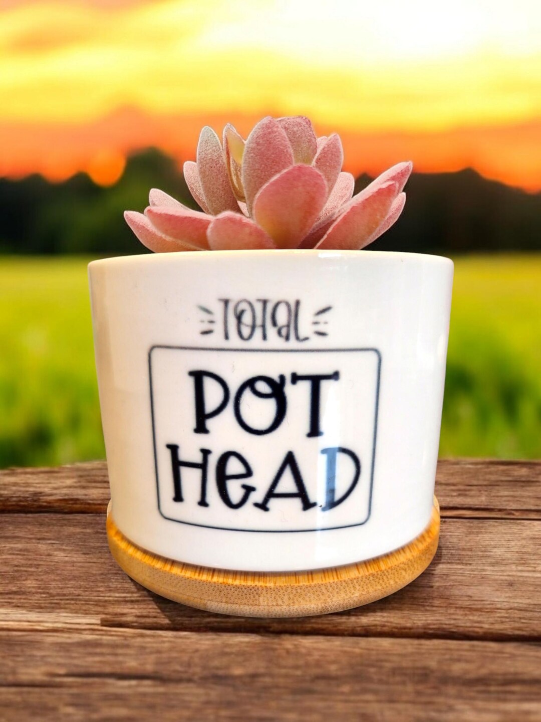 Total Pot Head Planter, Pot, Succulent Pot - Etsy