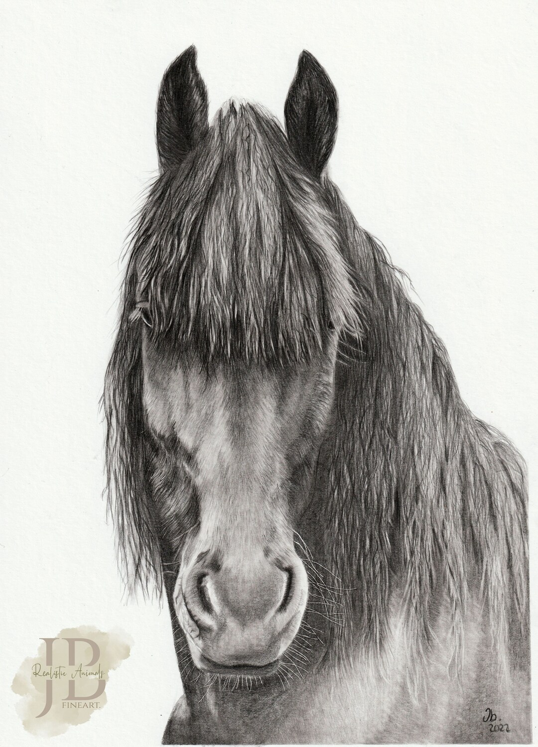 Original Fineart Drawing,friezes, Horse,rappe, Realistic Animals, Hand ...