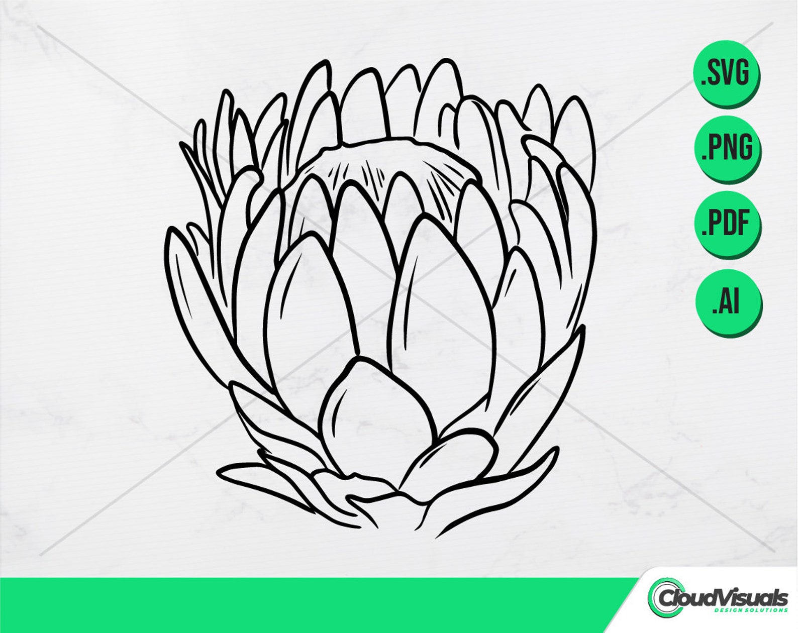 PROTEA FLOWER Line Art, Doodle Vector Line Art. Hand Drawn Clipart ...