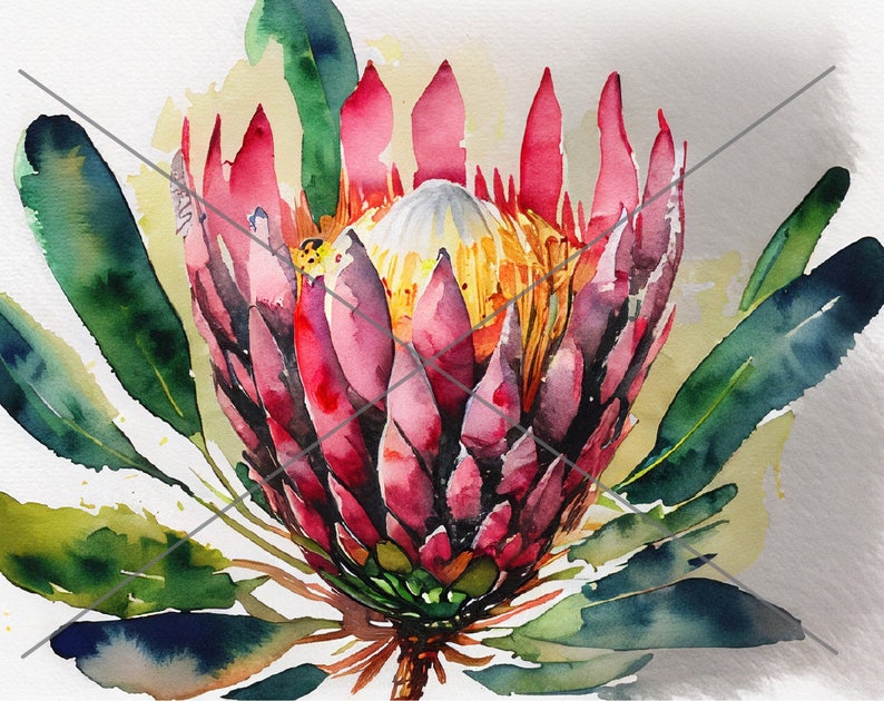 Protea Flower Watercolor Paintings, Bundle of 4 Art Prints, Theme ...