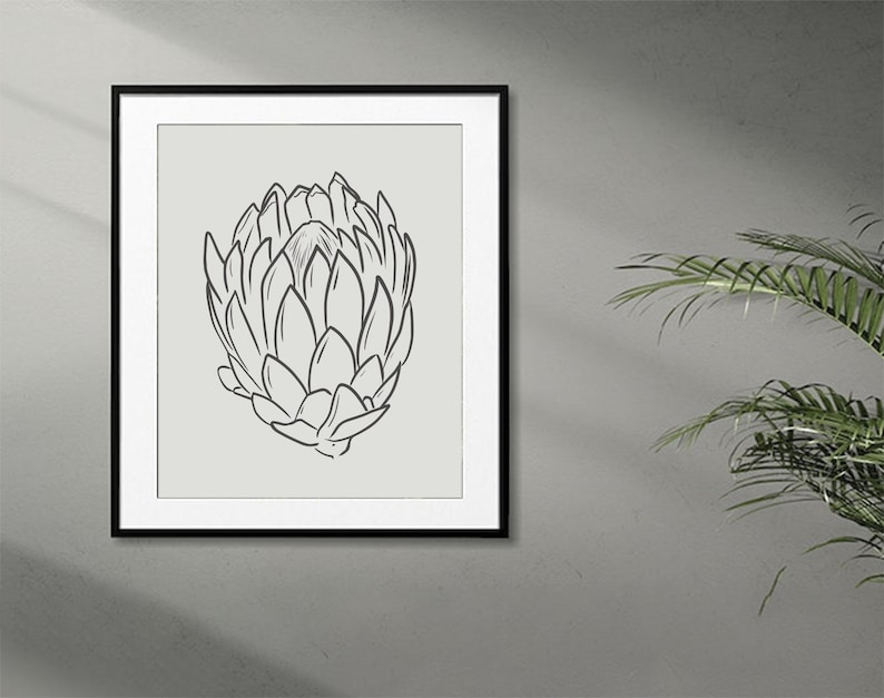 PROTEA FLOWER Bundle of 6 Line Art, Doodle Vector Art. Hand Drawn ...