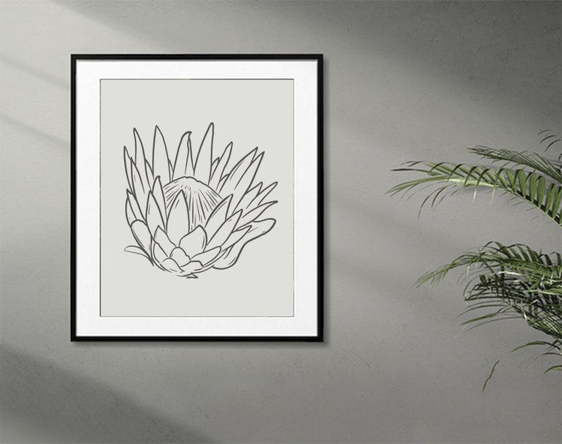 PROTEA FLOWER Line Art, Doodle Vector Art. Hand Drawn Clipart. Instant ...