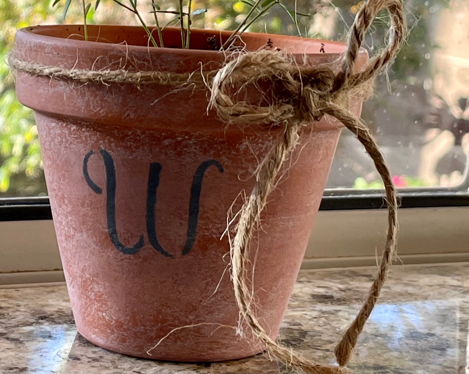Personalized Terra-cotta Pot With Fern - Etsy