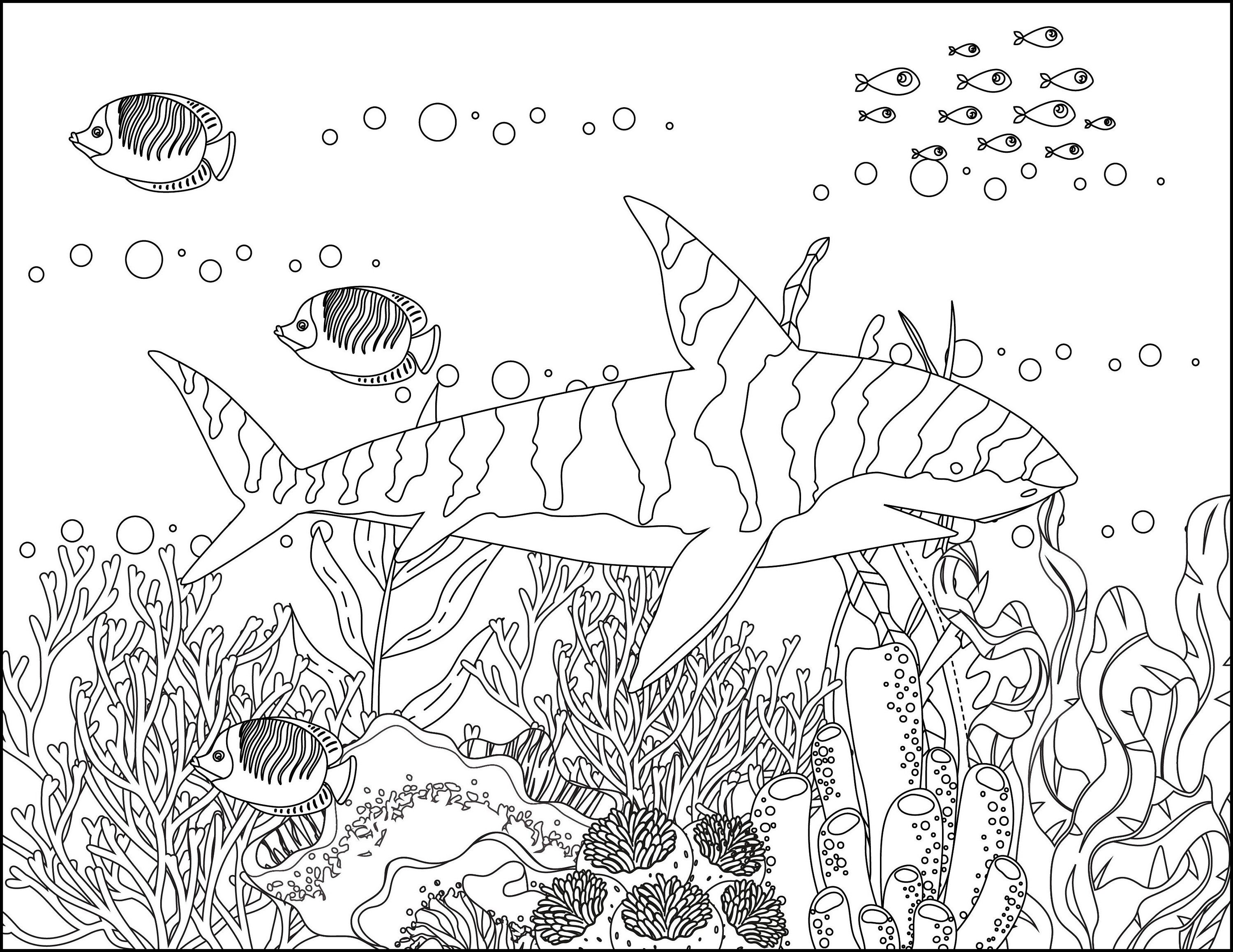 5 Ocean Color Pages - Etsy